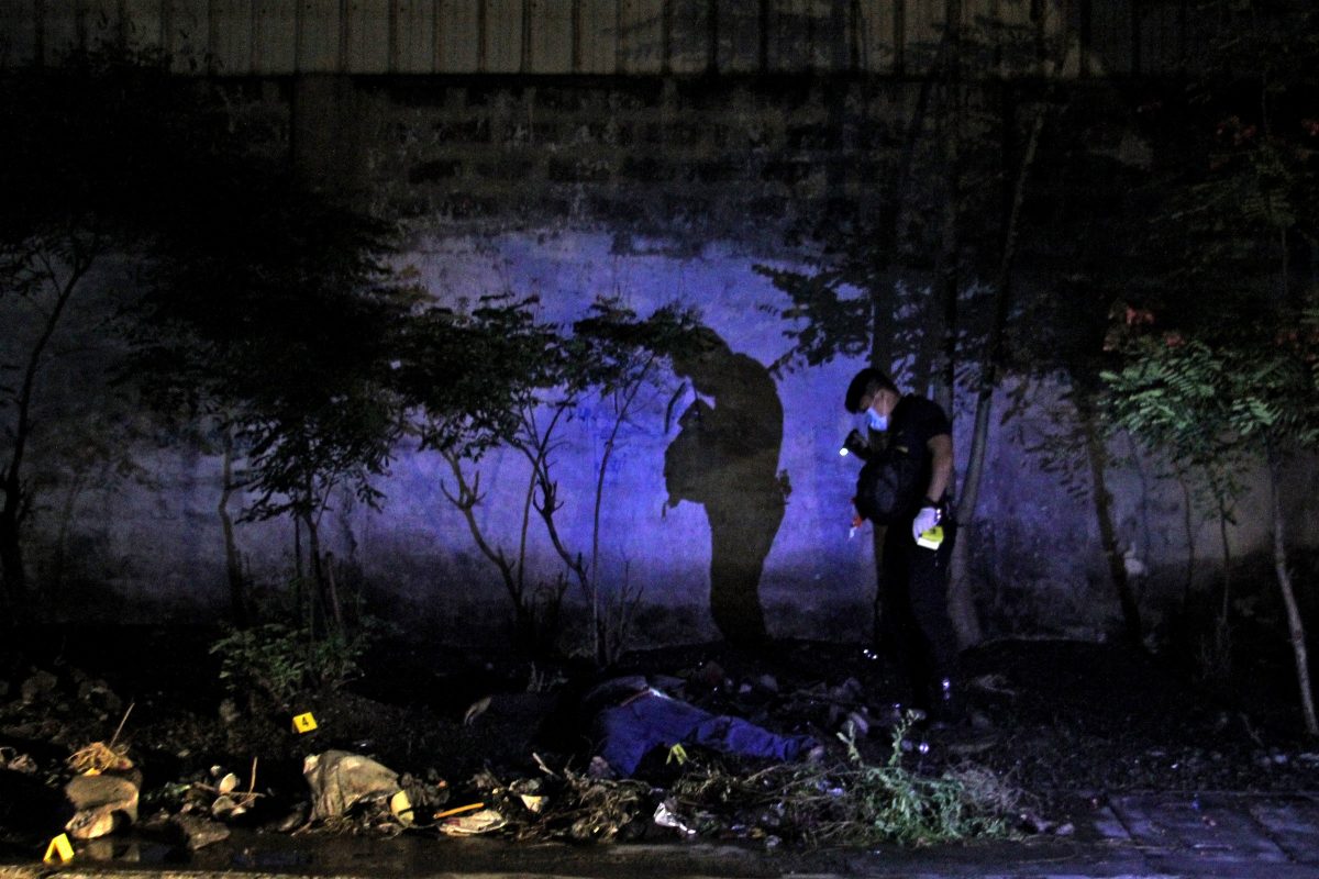 Planting evidence: Not your everyday urban gardening | Catholic News ...