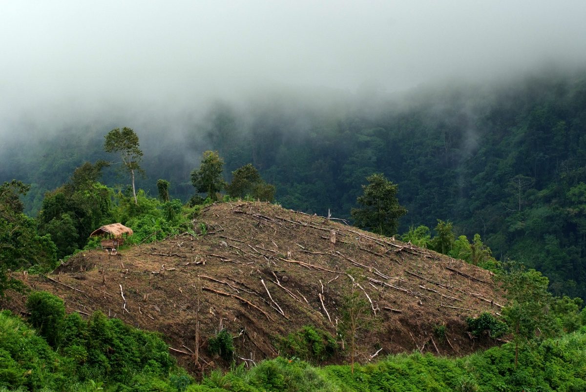 Pro-environment group blames deforestation, mining for flooding in ...