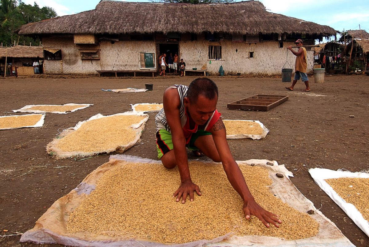 Filipino farmers hope against hope amid desperate times | Catholic News ...