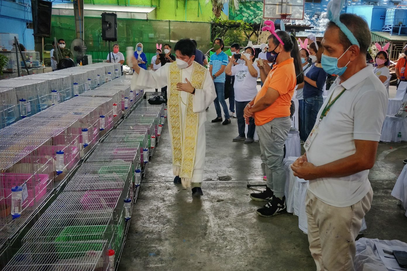 Oblates missionary priest breeds rabbits to feed poor in his parish ...