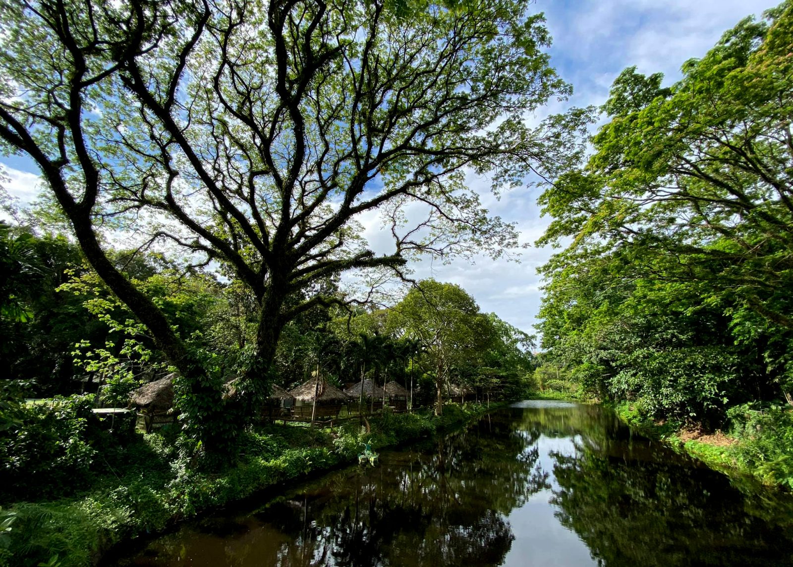 Today, hold hands, share a kiss under the mango, or whatever tree, for ...