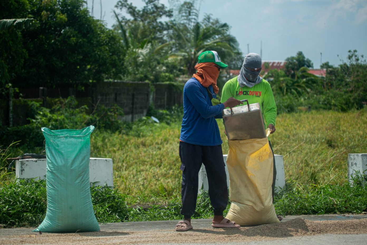 Farmers, consumers: BBM’s rice price ceiling still too high | Catholic ...
