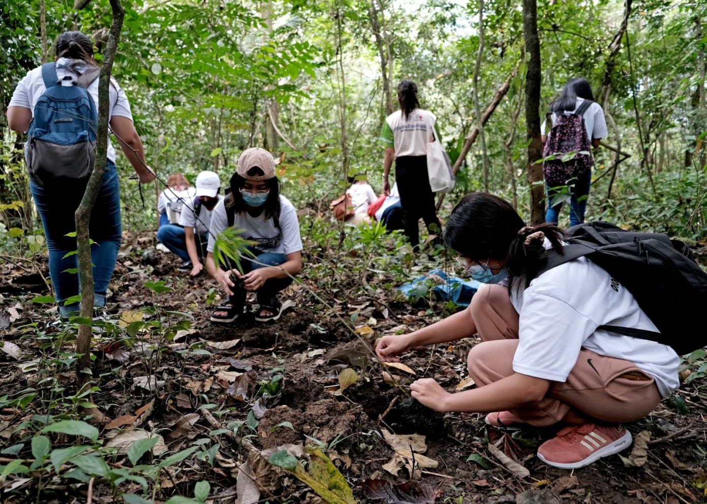Filipino Catholics launch ‘bamboo forest’ project to help fight climate ...