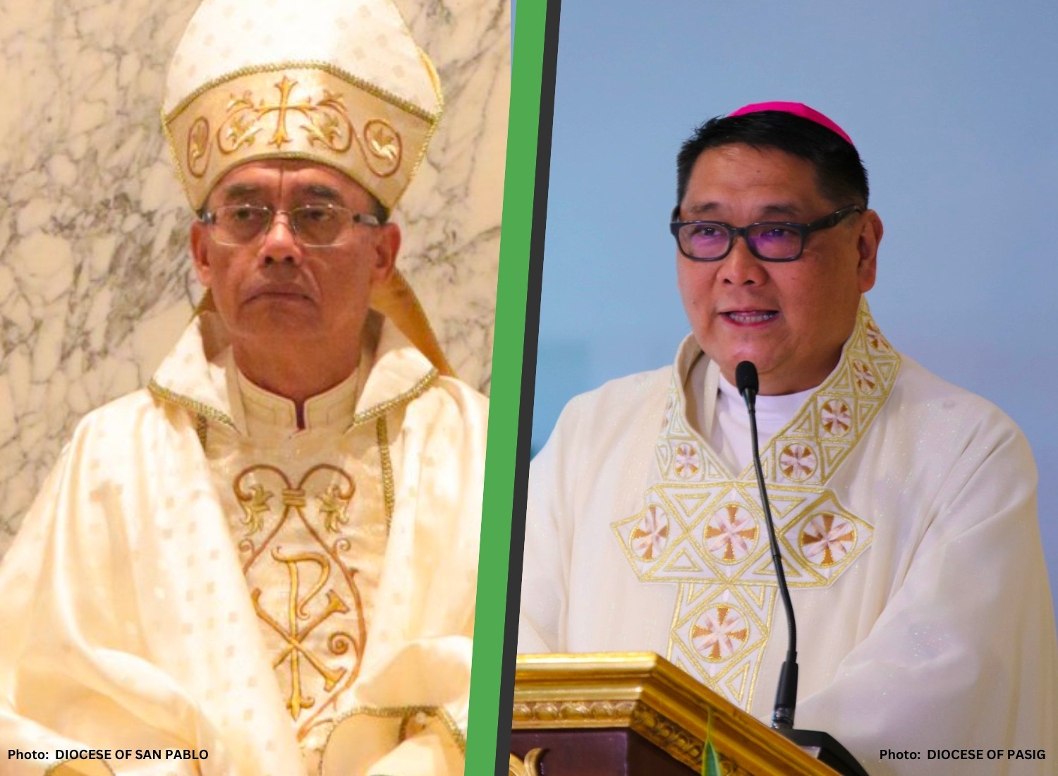 Pope Francis accepts San Pablo bishop’s resignation, appoints apostolic administrator | Catholic ...