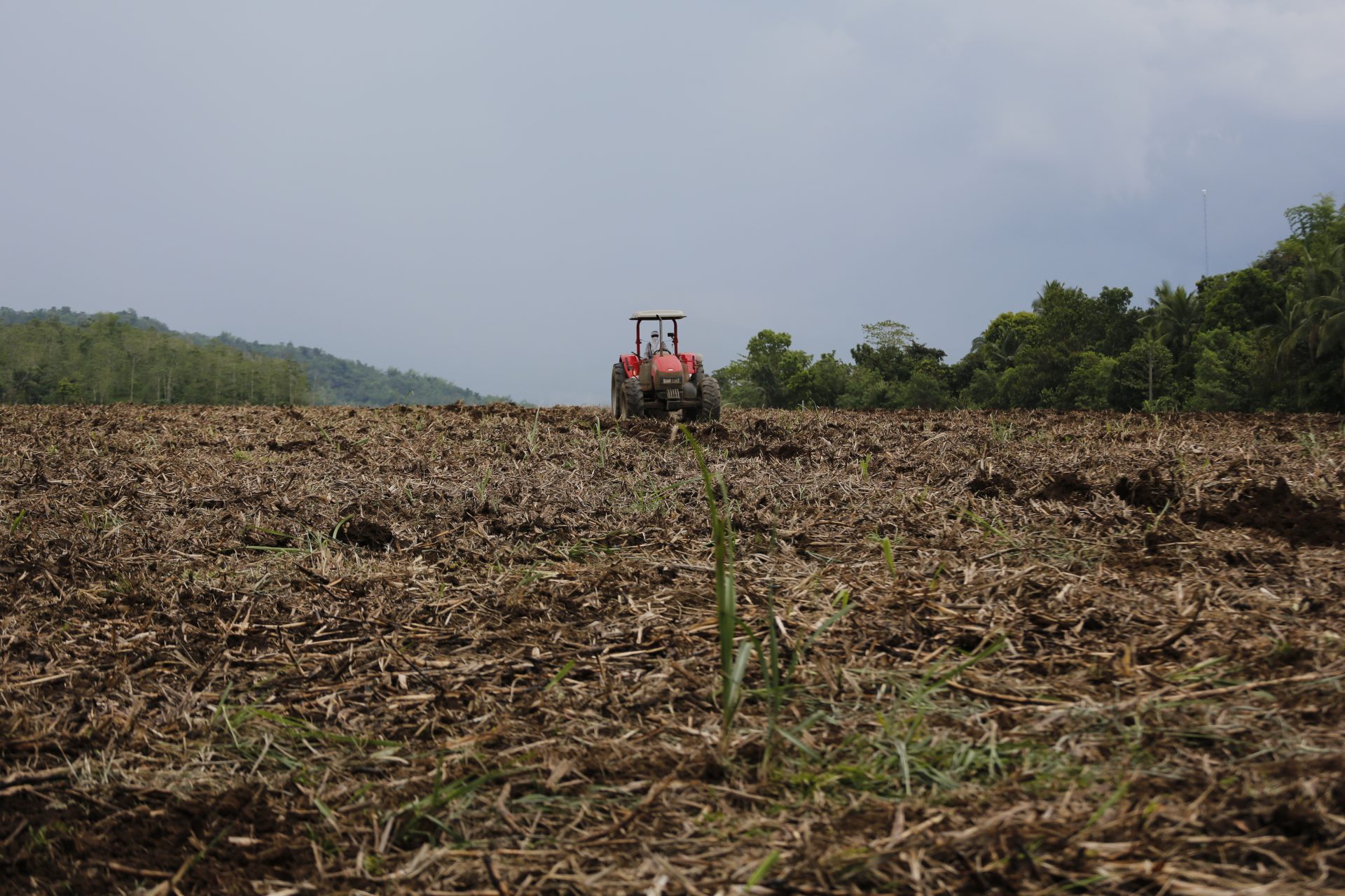 Farmers challenge Marcos to fast-track land distribution | Catholic ...