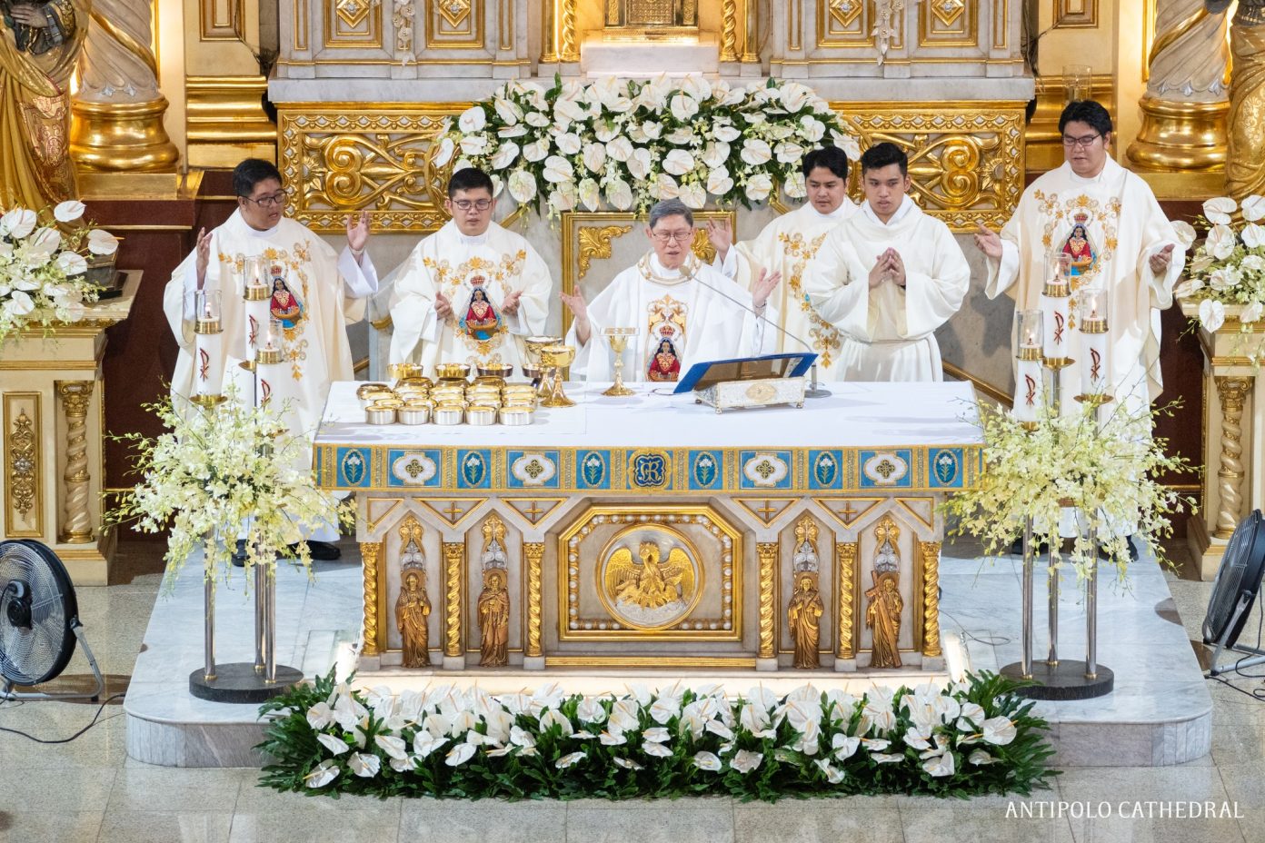 Cardinal Tagle calls for deepened faith at historic Marian celebration | Catholic News ...