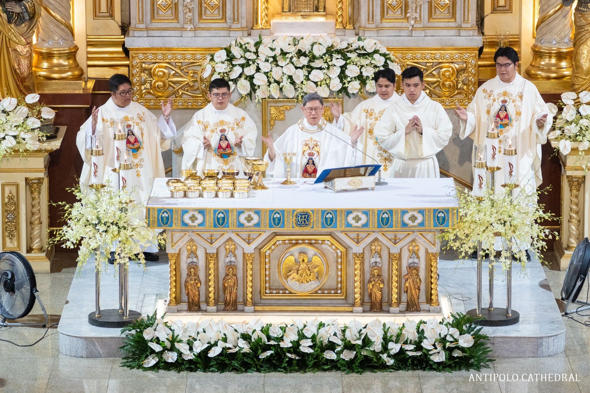 Cardinal Tagle calls for deepened faith at historic Marian celebration ...
