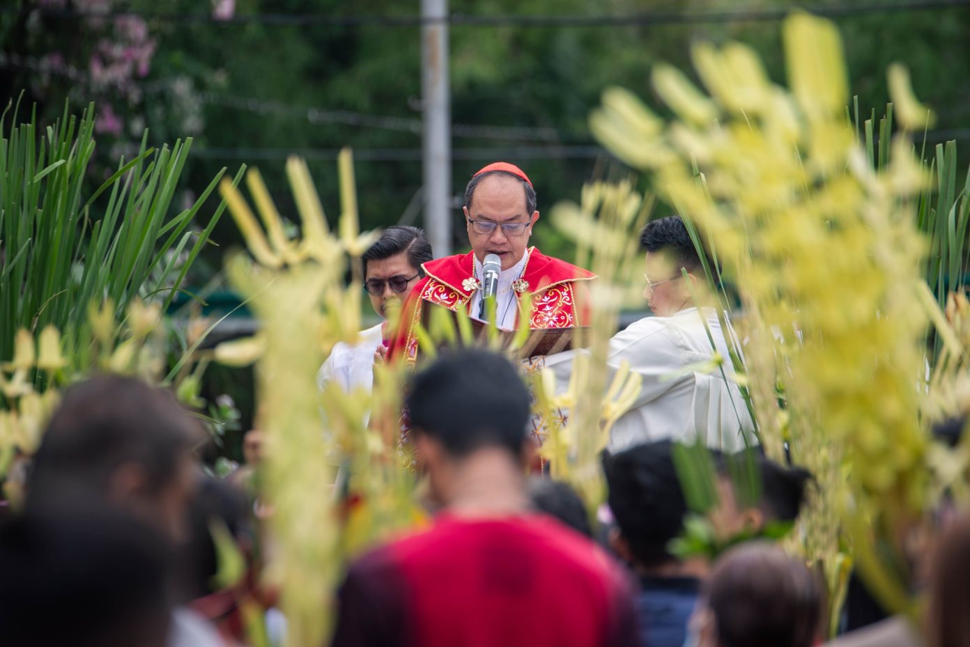Cardinal David: Love gives meaning to suffering | Catholic News ...