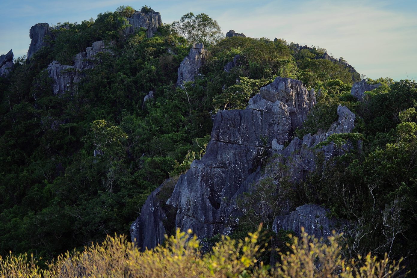 Coalition opposes Rizal wind project over threats to Masungi, Upper ...