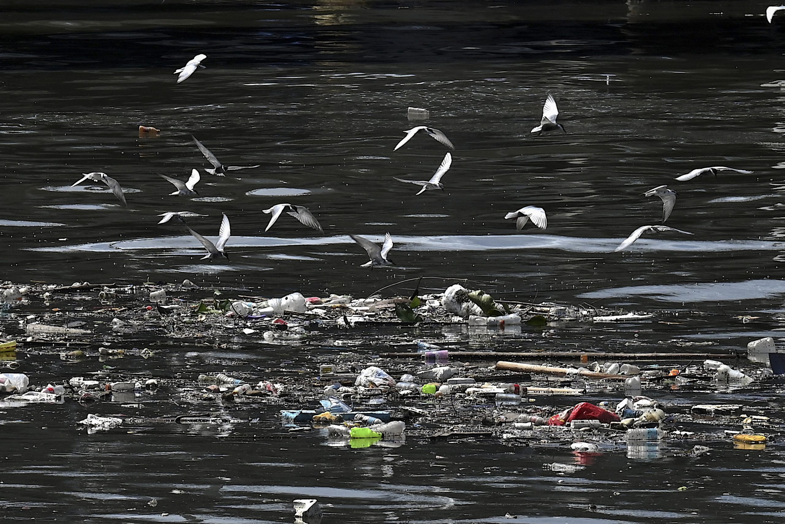 PH waste crisis an ‘ecological sin,’ Cardinal David says as country ...